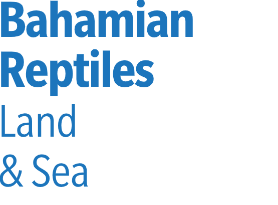 A New Virtual BNHC Platform - Bahamas National Trust