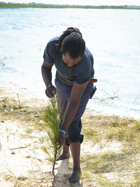 Preparing Parks to Welcome You Back - Bahamas National Trust