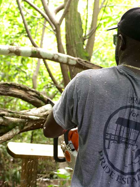 Preparing Parks to Welcome You Back - Bahamas National Trust