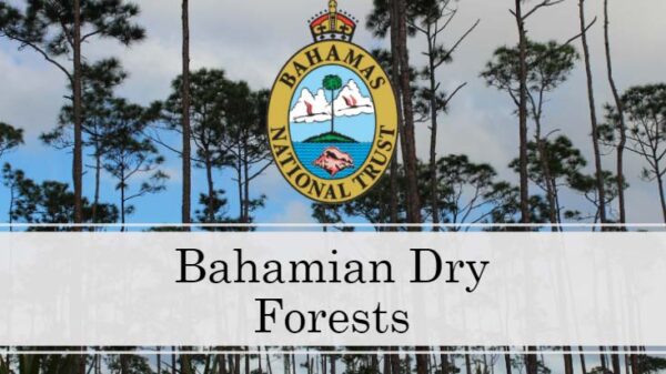 Bahamas National Trust Virtual Park Experience - Bahamas National Trust