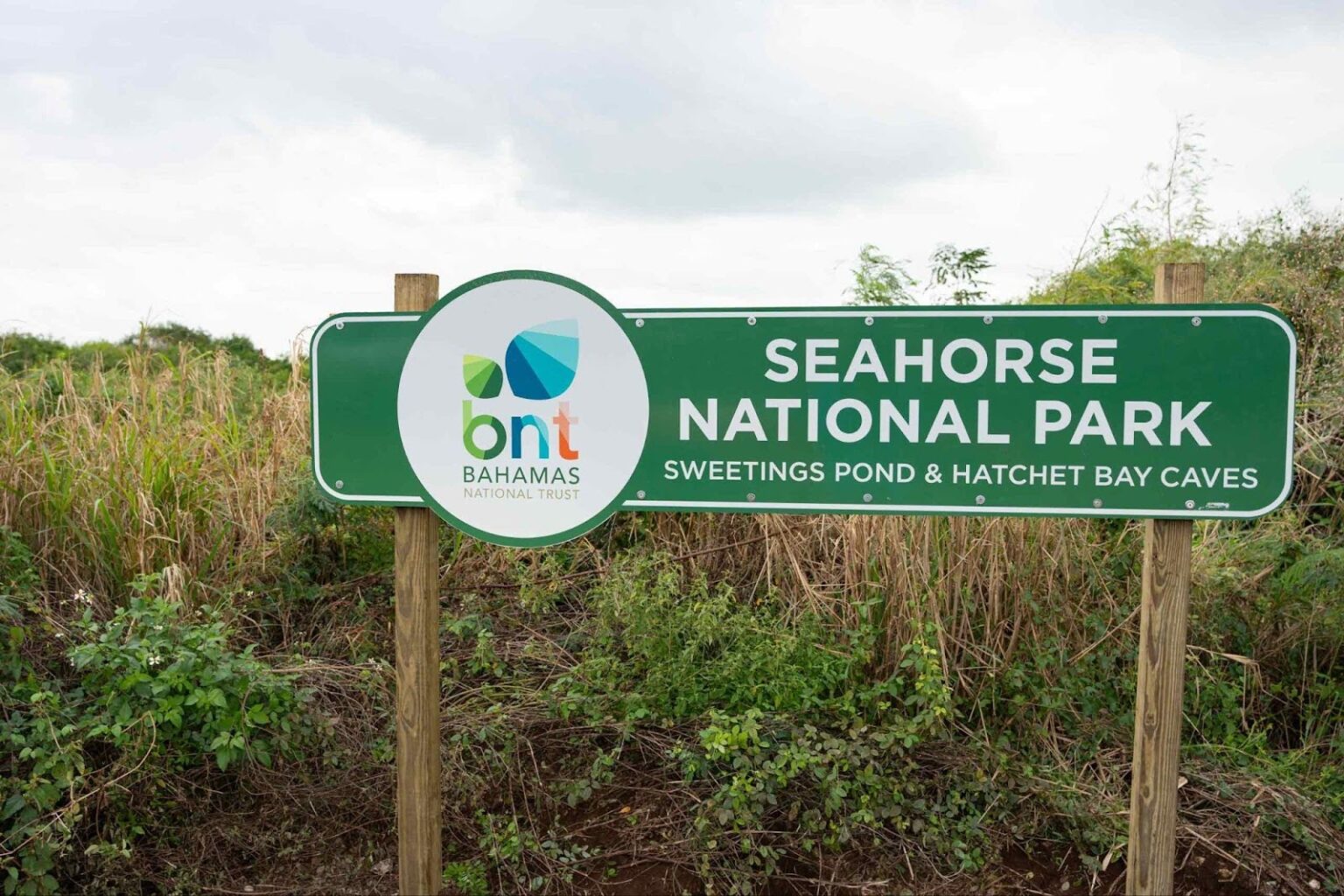 Public Notice: Temporary Closure of Seahorse National Park in Eleuthera