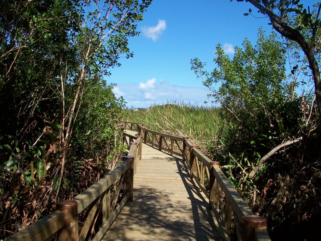 New Providence - Bahamas National Trust