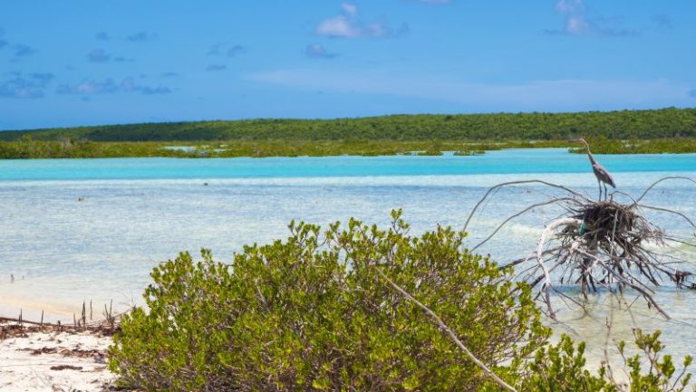 Conception Island National Park - Bahamas National Trust