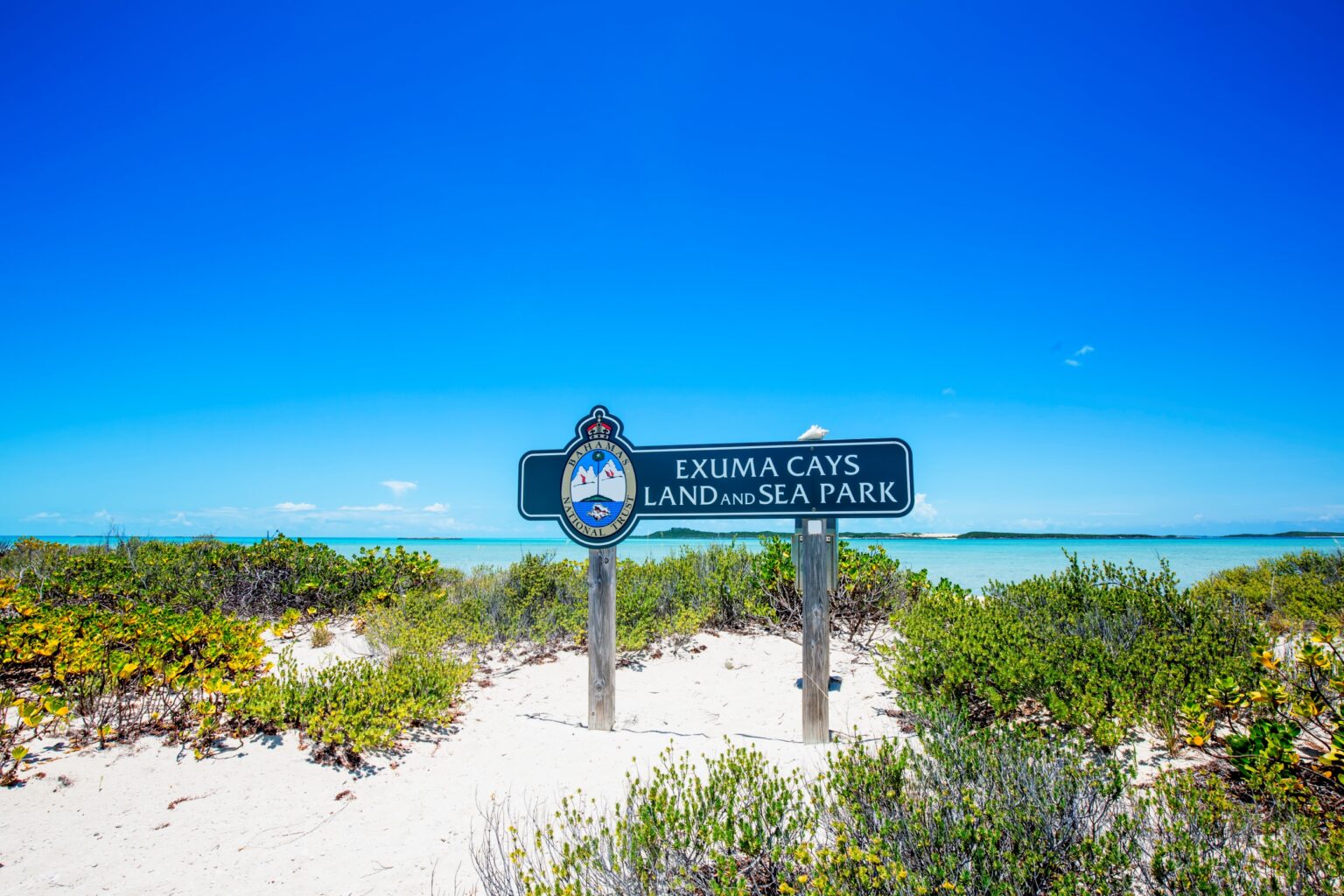 6 Things You Need to Know About the Exuma Cays Land and Sea Park