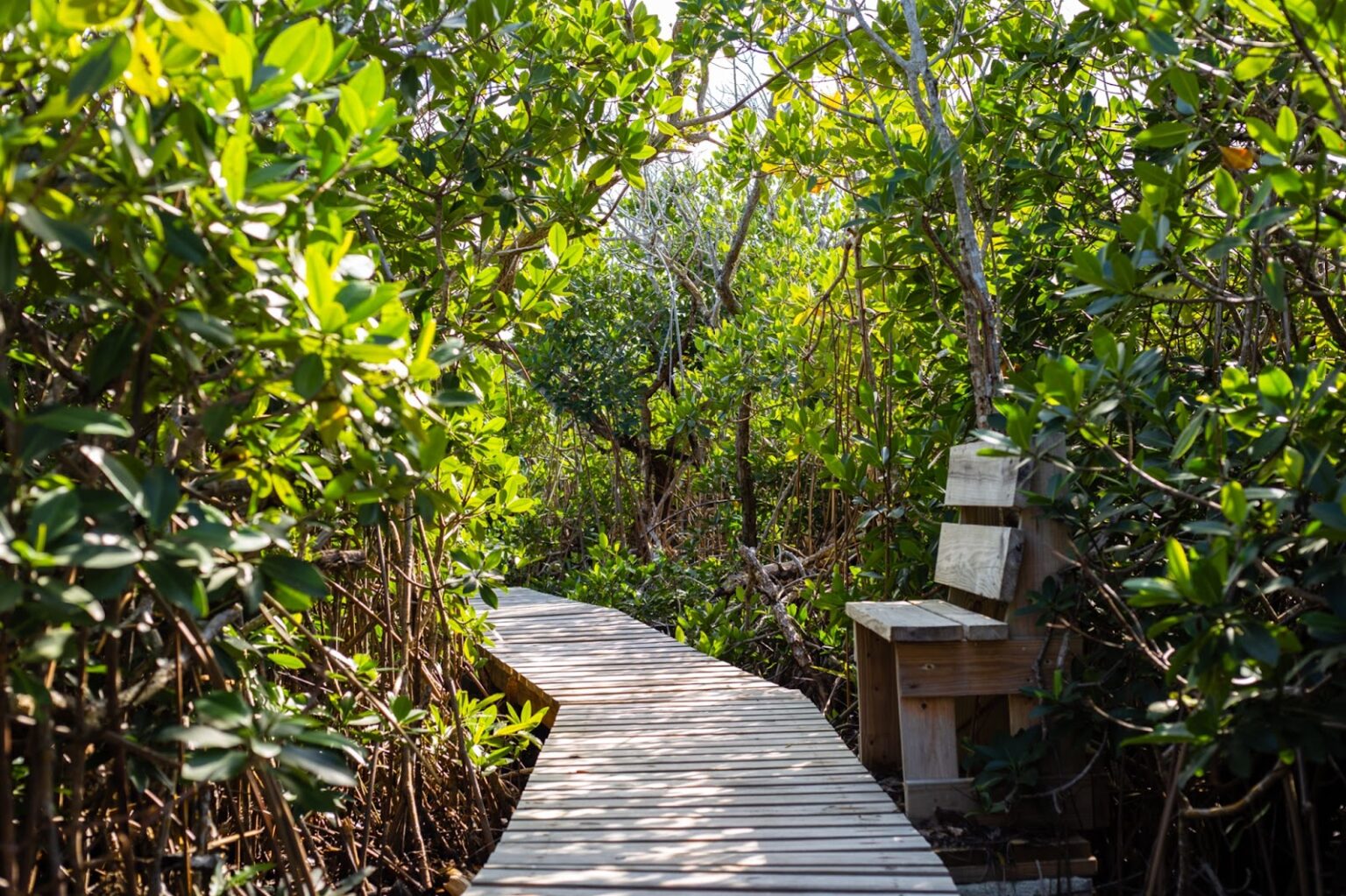 Grand Bahama’s Lucayan National Park Celebrates 40th Anniversary ...