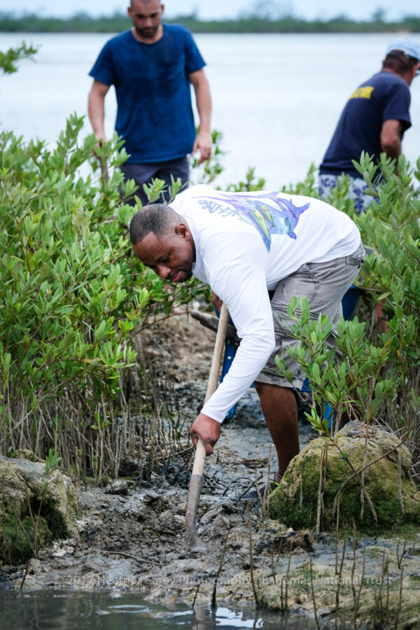 A Decade of Restoring Mangroves at The Bonefish Pond National Park ...