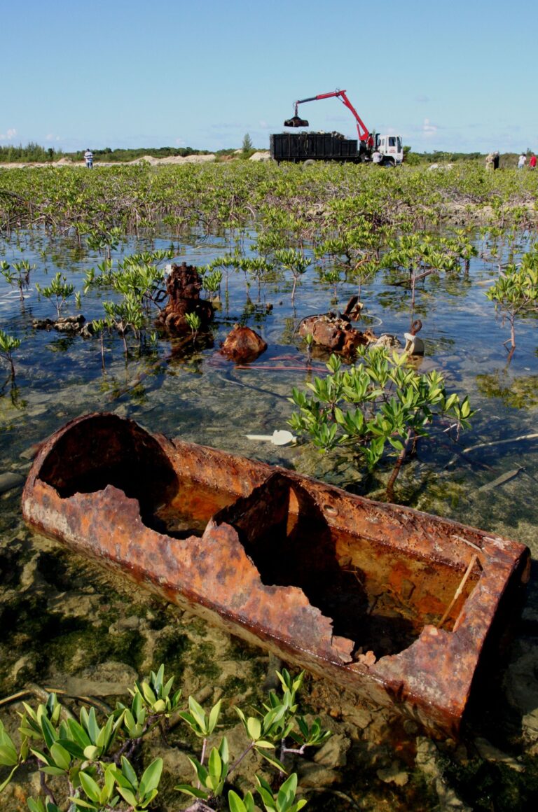 A Decade of Restoring Mangroves at The Bonefish Pond National Park