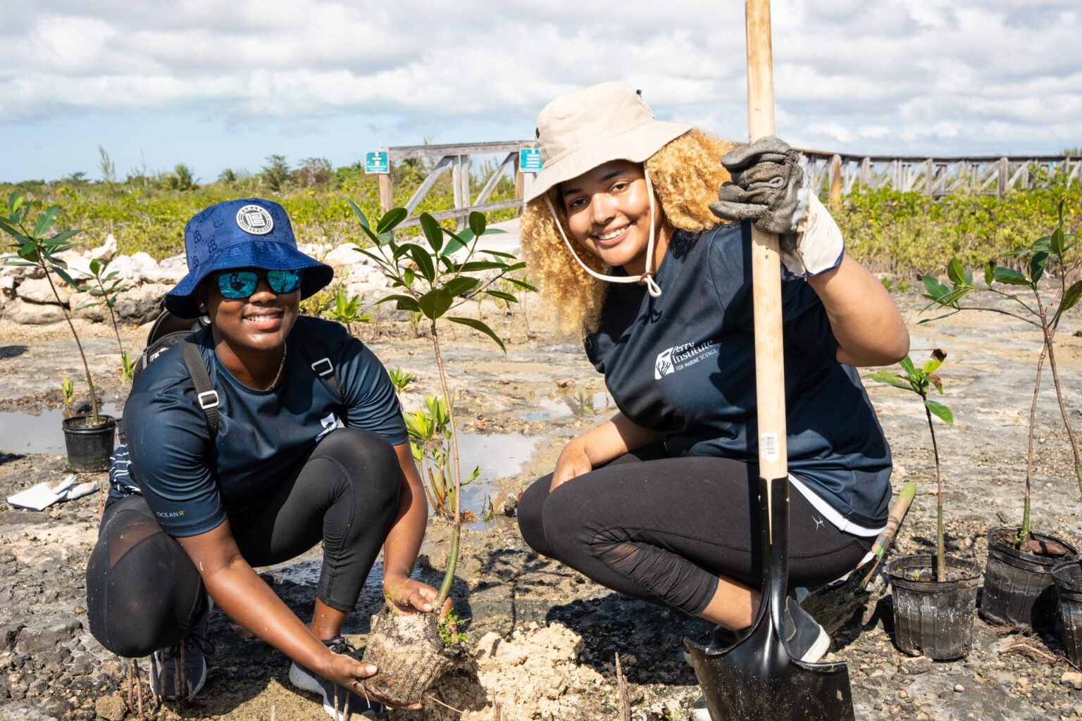 Taking Action for Wetlands Restoration by Planting Mangroves – Bahamas National Trust