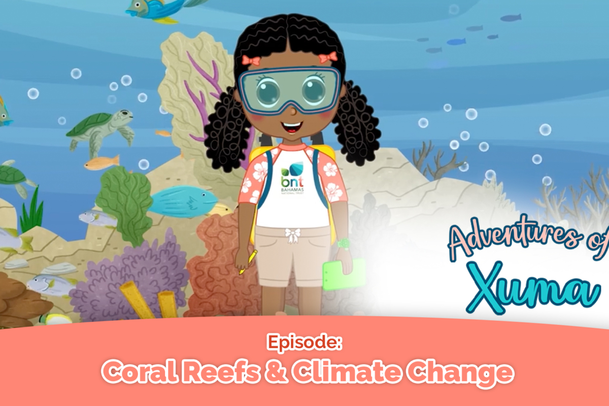 The Adventures of Xuma - Bahamas National Trust
