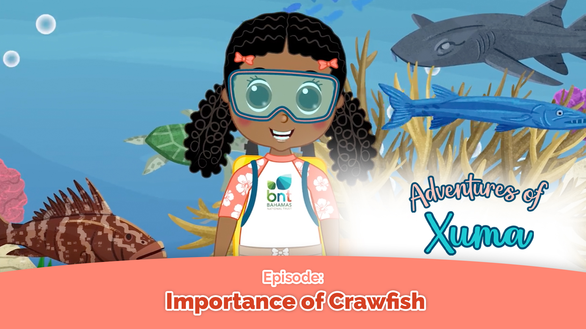 The Adventures of Xuma - Bahamas National Trust
