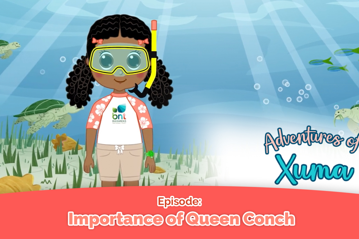 The Adventures of Xuma - Bahamas National Trust