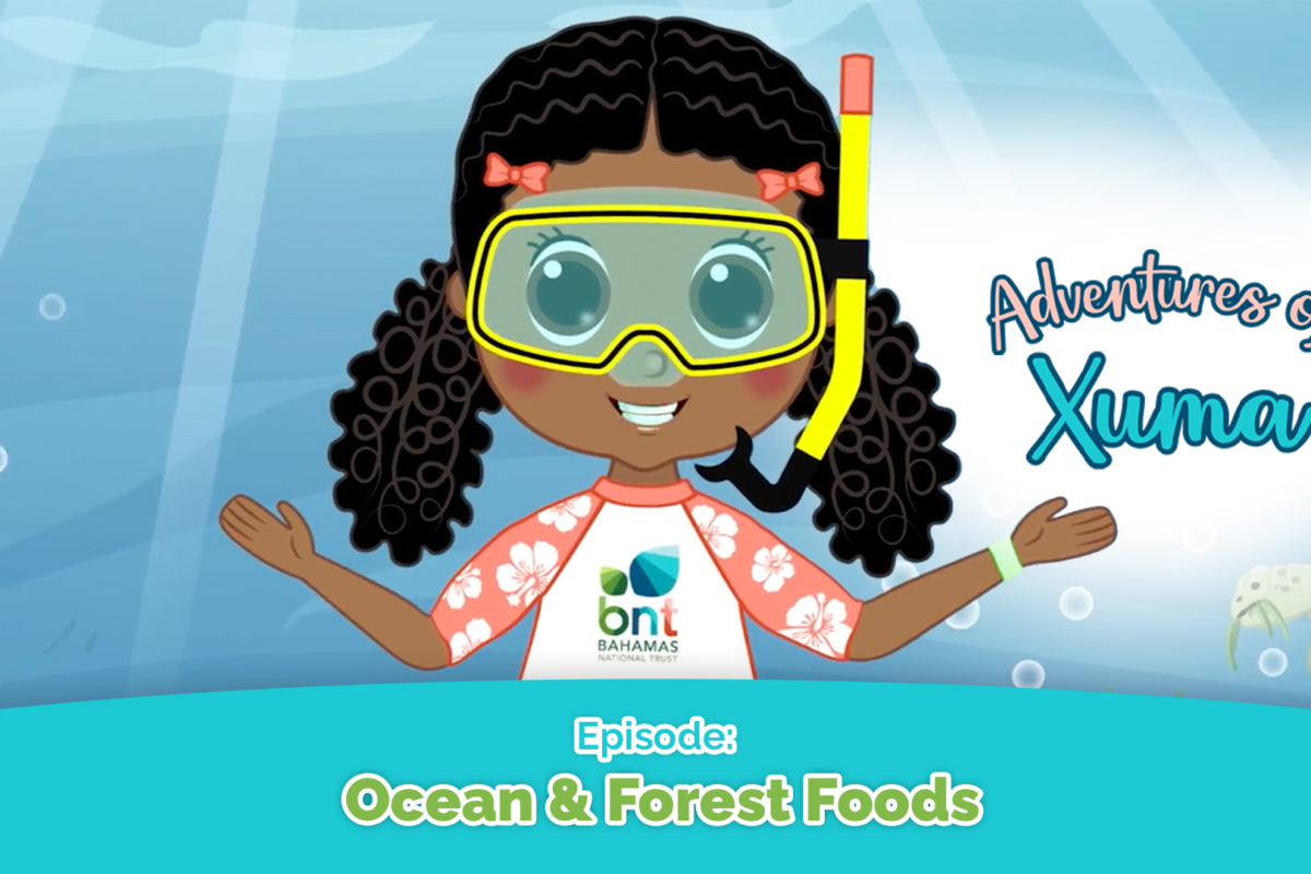 The Adventures of Xuma - Bahamas National Trust
