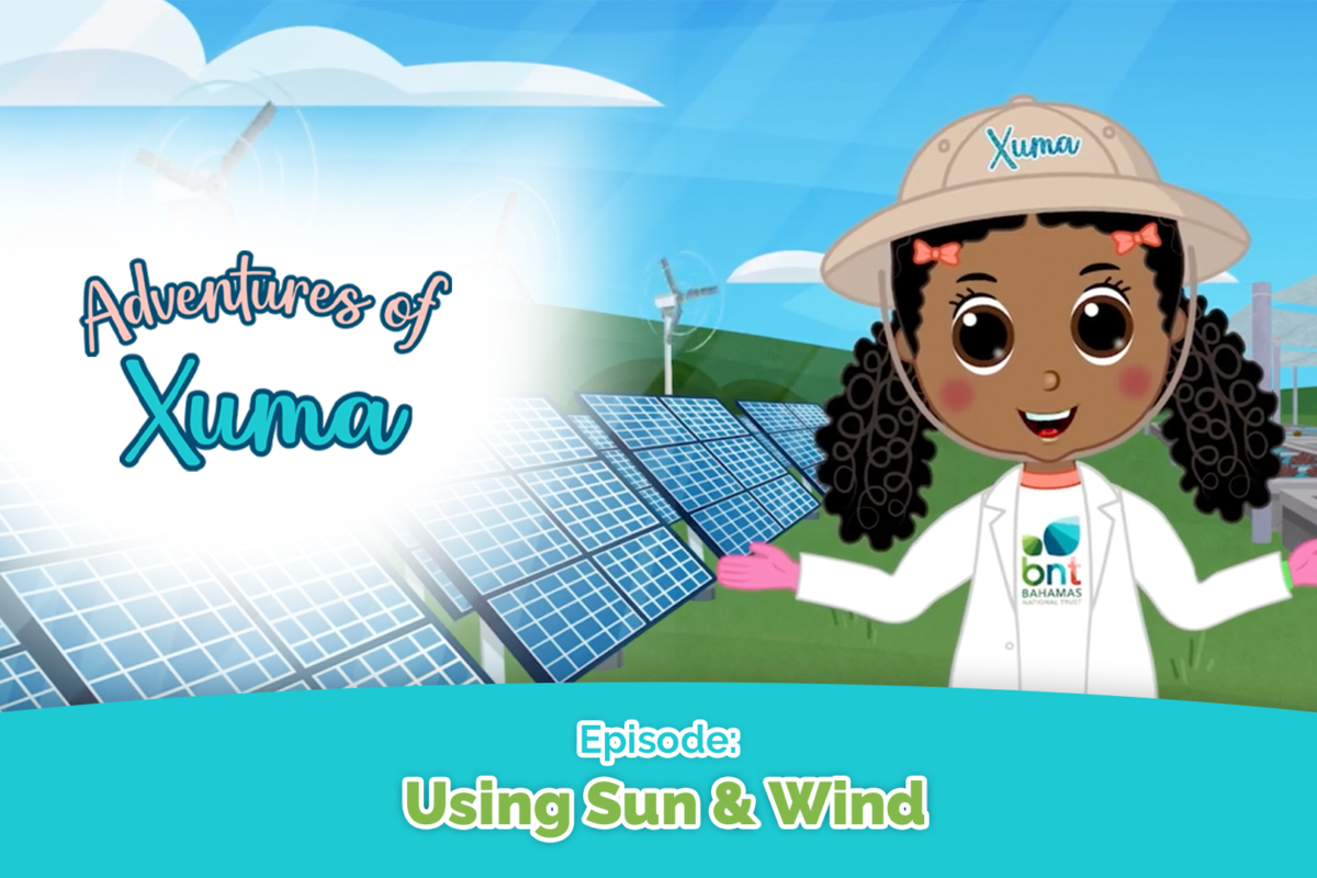 The Adventures of Xuma - Bahamas National Trust